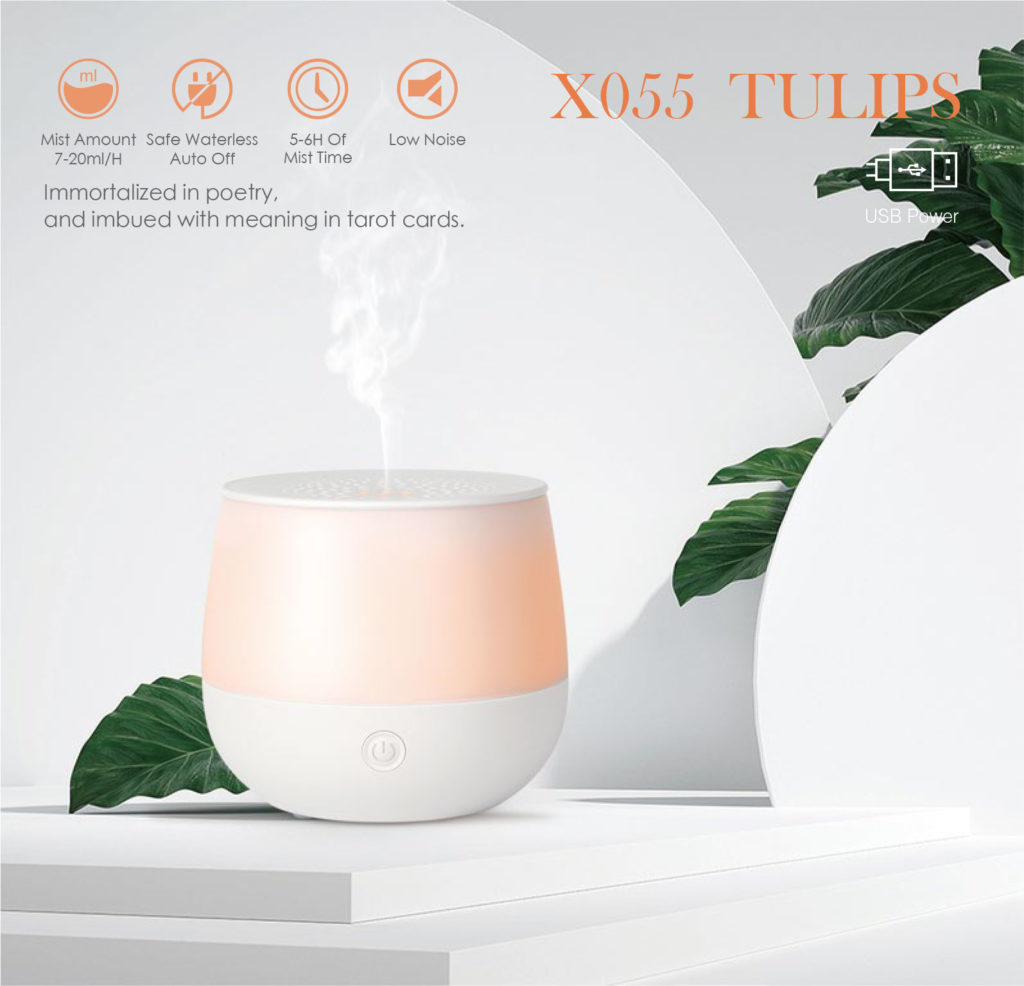 X055-Mini Aroma Diffuser